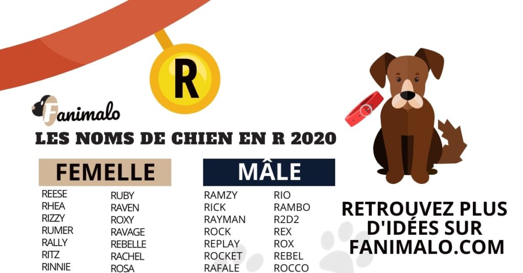 Quel Nom Pour Un Chien M le
